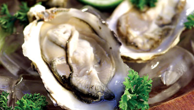 Delícias do mar: receitas com ostras - Made in Japan