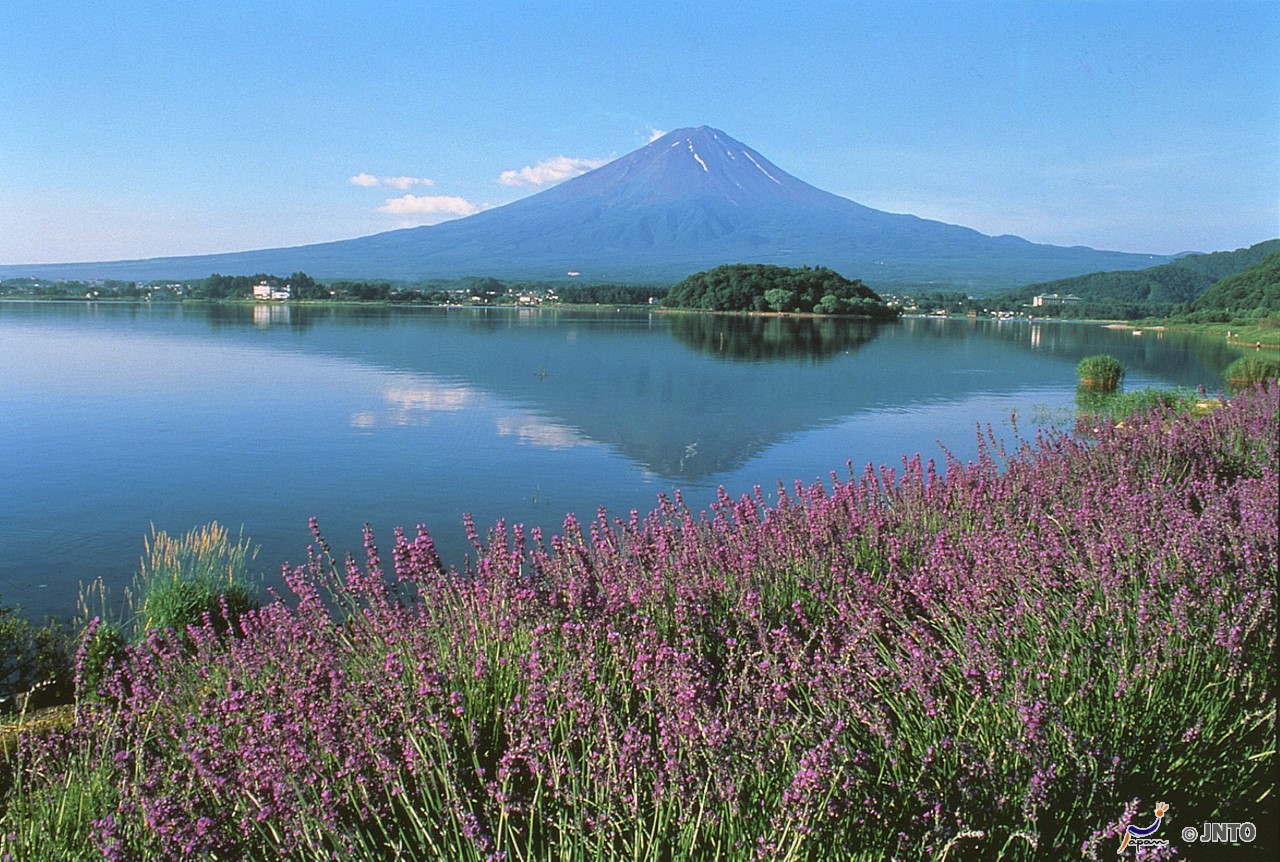 As vistas do Monte Fuji - Made in Japan