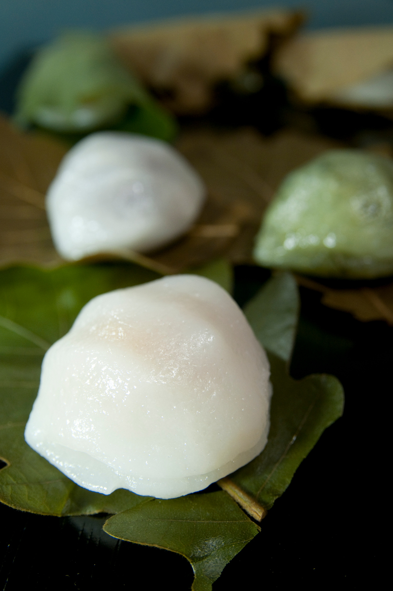 Kashiwa Mochi, o doce do Dia das Crianças - Hashitag